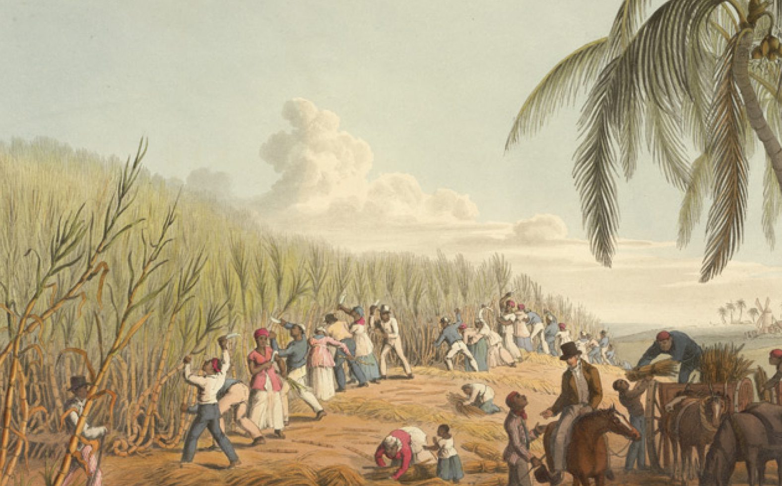 Sugar Cane, Slaves, and Ships: Colonialism, Geography and Power in ...