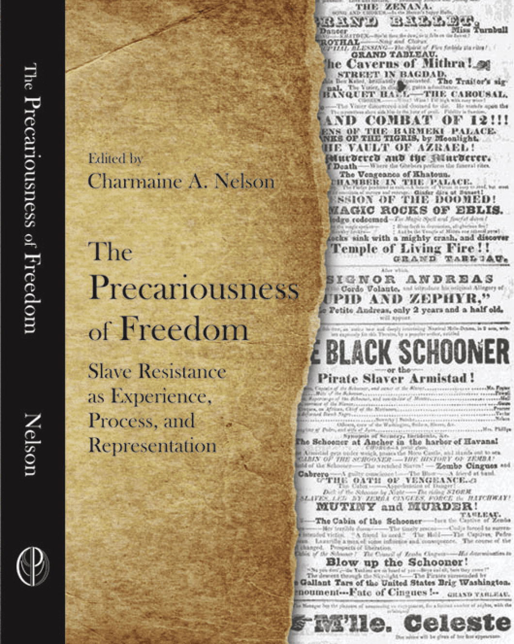 The Precariousness of Freedom: Slave Resistance as Experience, Process ...